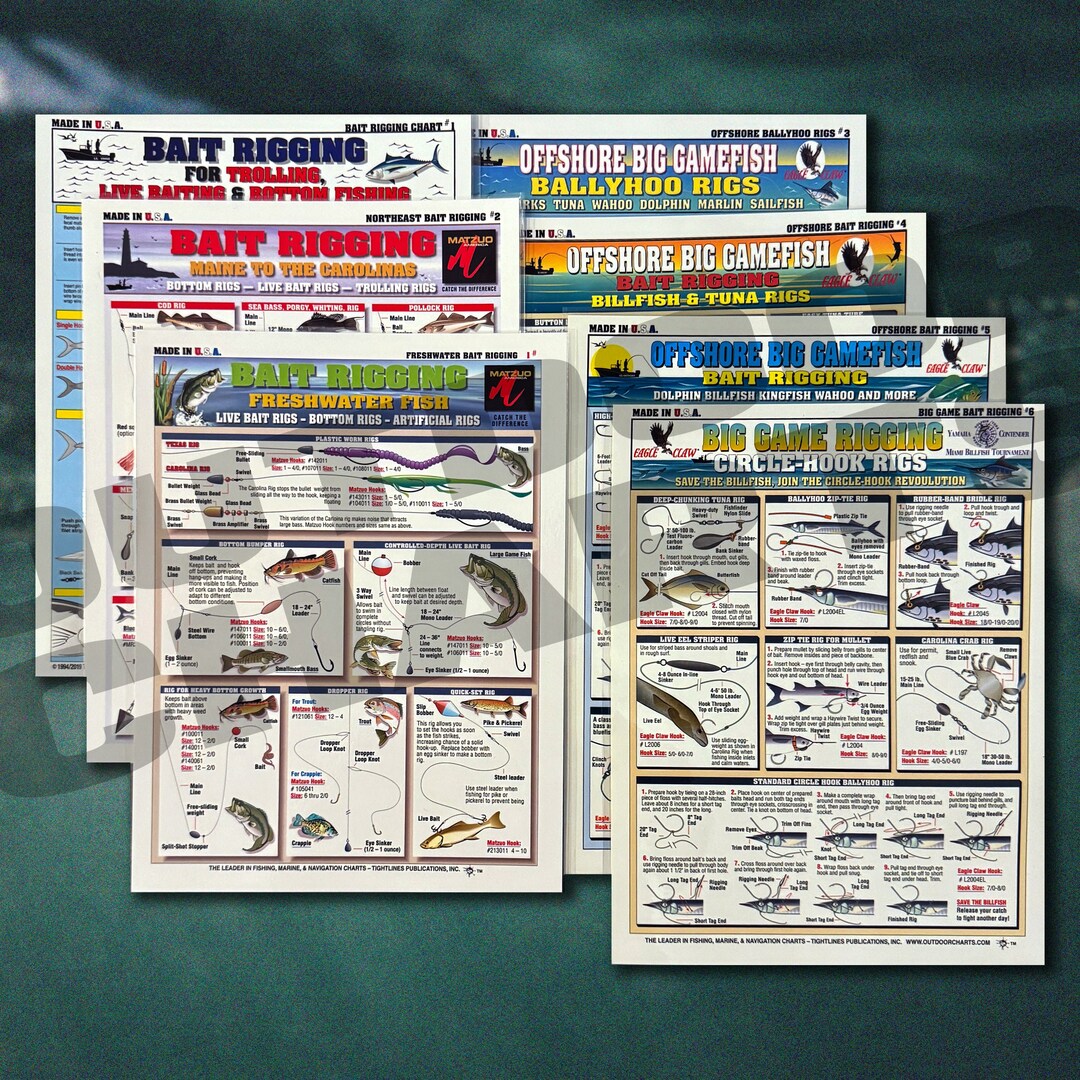 Bait Rigging Chart Set 1-7 - Etsy