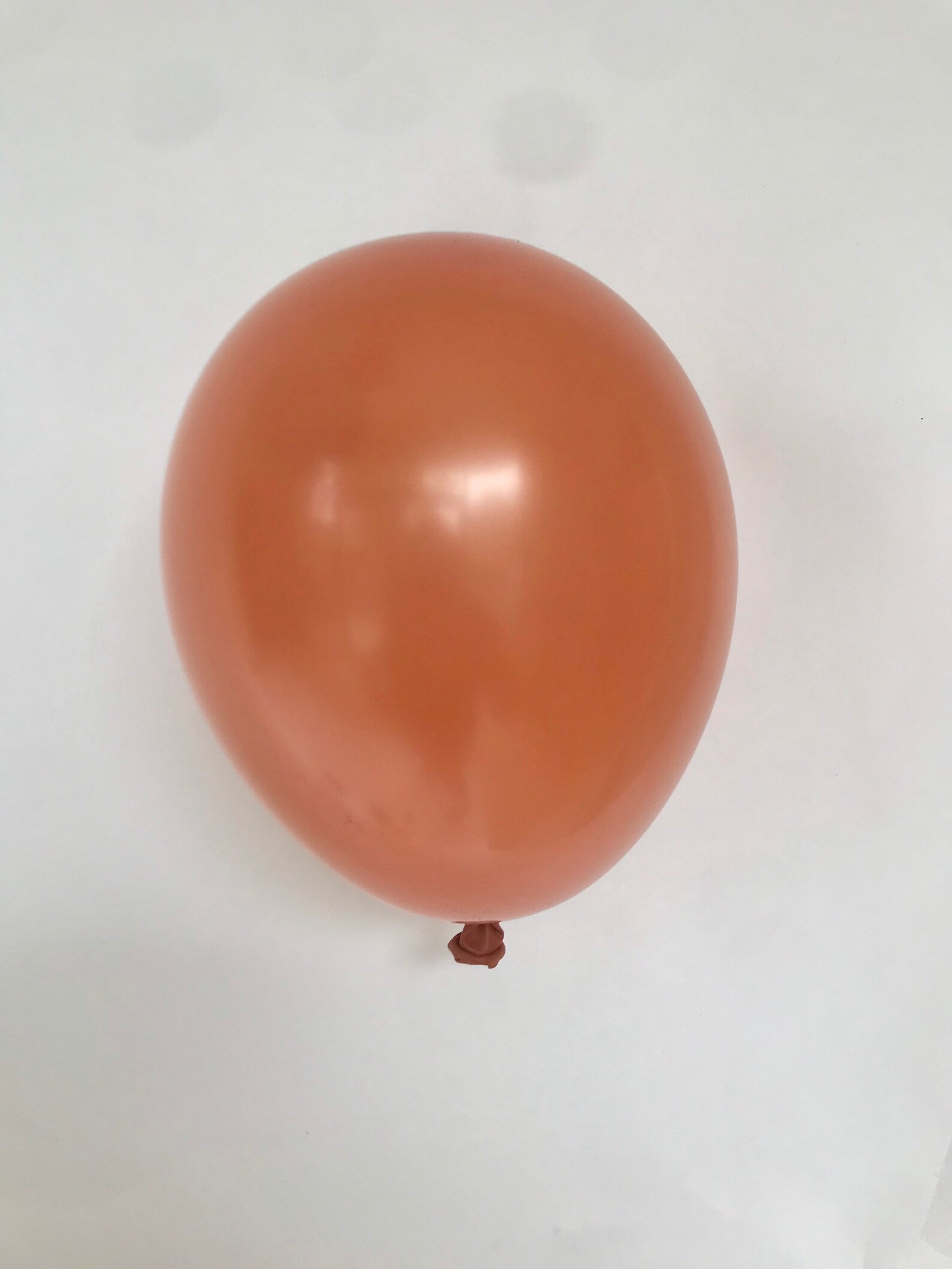 Burnt Orange 11 Inch Balloon Set Pumpkin Balloons Rust Balloons Fall ...