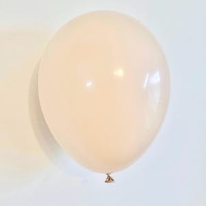 Cameo Balloons 11 Inch 24 Inch Latex Balloons Pastel Blush Balloons ...