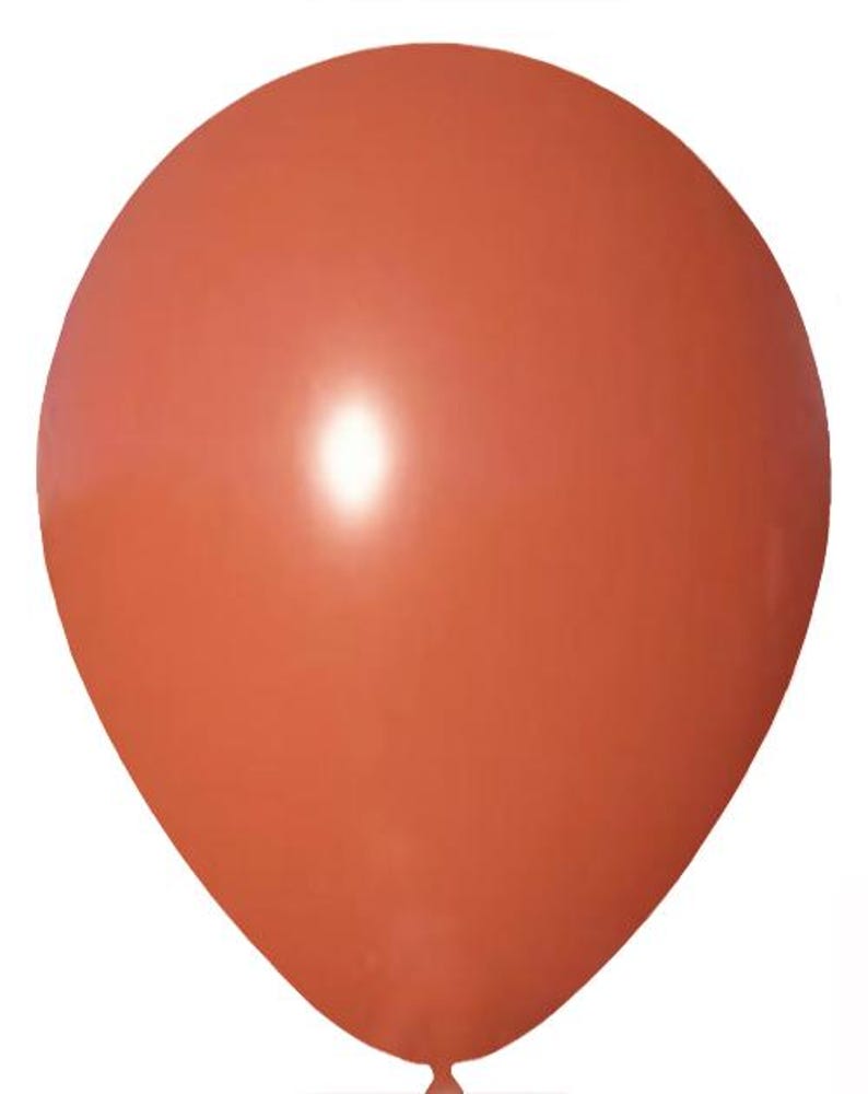 Burnt Orange 11 Inch Balloon Set Pumpkin Balloons Rust Balloons Fall ...