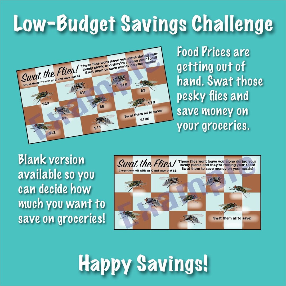 Savings Game, Swat the Flies - Etsy