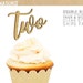 Two Cupcake Toppers 2nd Birthday Cupcake Toppers Double - Etsy