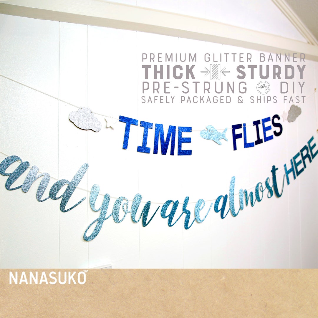 TIME FLIES and You Are Here Banner, With Airplane, Glitter Banner, Baby ...