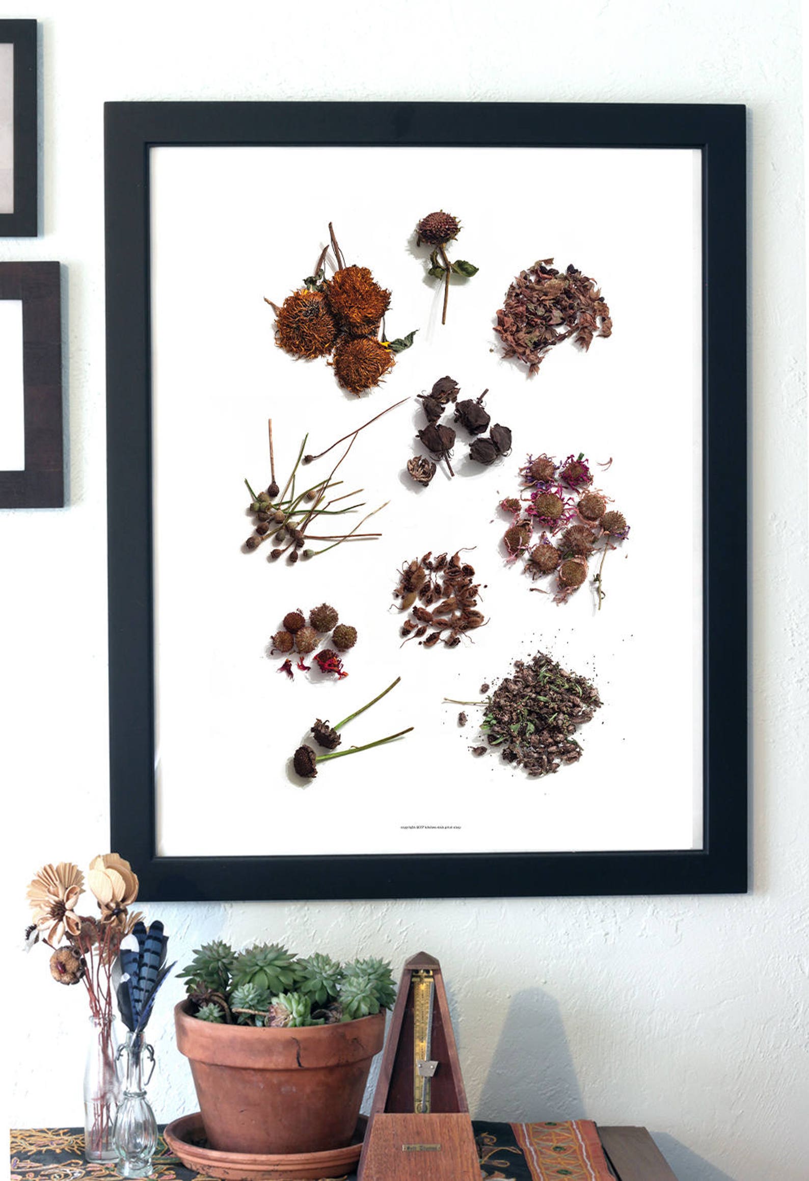 Dried Flower Print Botanical Art Botanical Poster Flower - Etsy