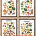 Printable Wall Calendar 2024, Seasonal Produce Food Art - Etsy