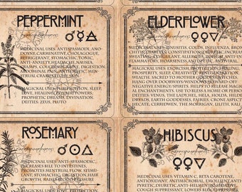 WITCH HERB LABELS Printable - Etsy