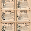 WITCH HERB LABELS Printable 6 Herbs Set 2 - Etsy