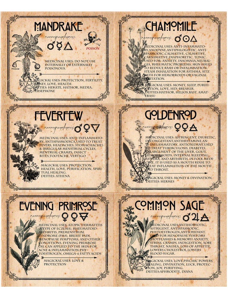 WITCH HERB LABELS Printable 6 Herbs Set 3 Mandrake Chamomile Feverfew ...