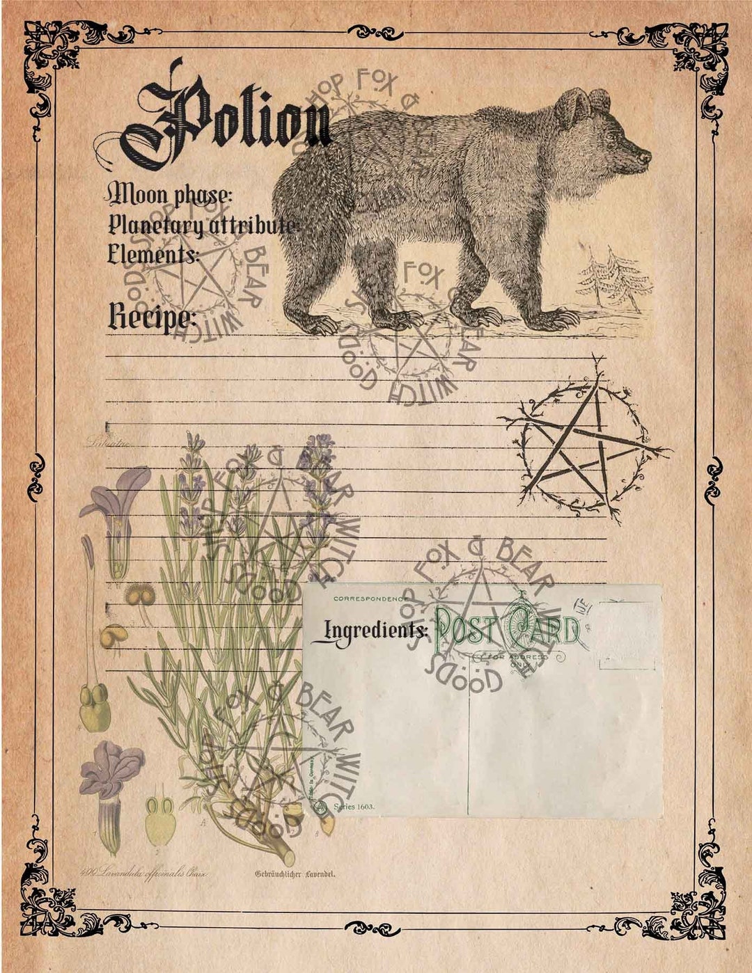 WITCH GRIMOIRE PAGES Book of Shadows Printable Set of 3 Pages Bear Owl ...