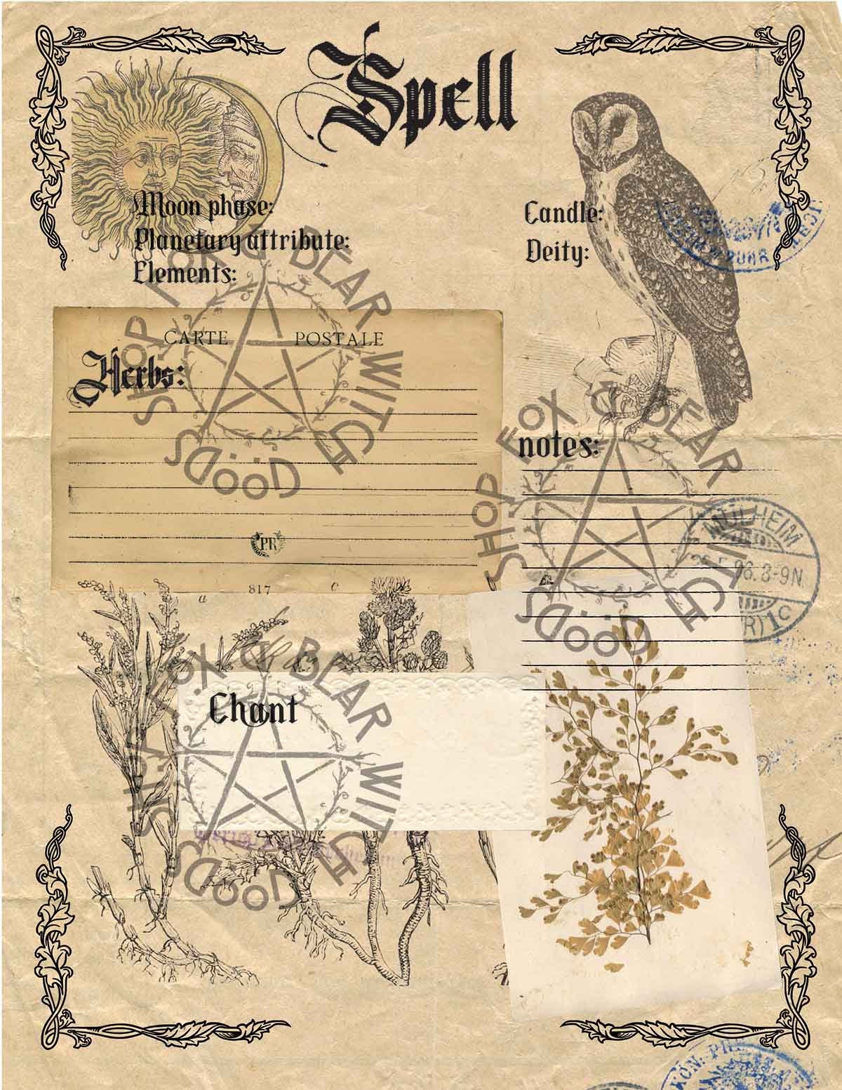 WITCH GRIMOIRE PAGES Book of Shadows Printable Set of 3 Pages Bear Owl ...