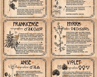 WITCH HERB LABELS Printable - Etsy