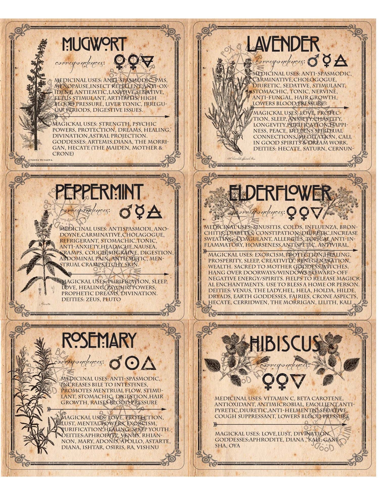 WITCH HERB LABELS Printable 6 Herbs Set 2 - Etsy