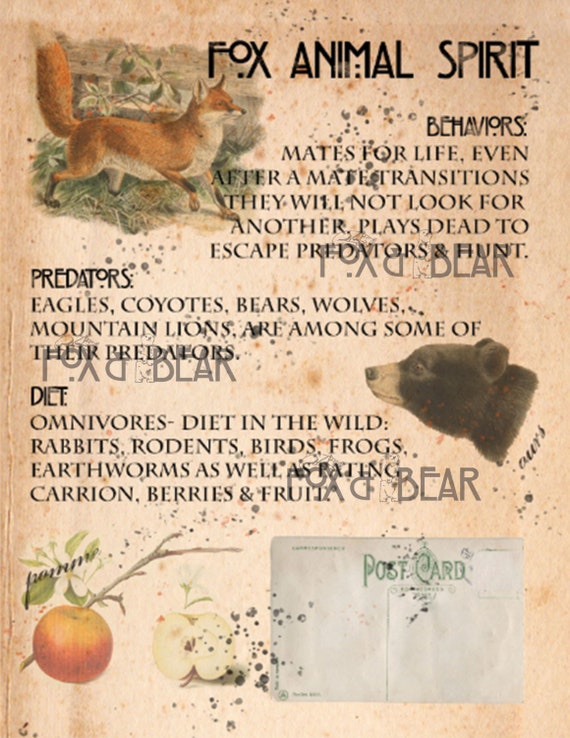 Spirit Animals List In Order