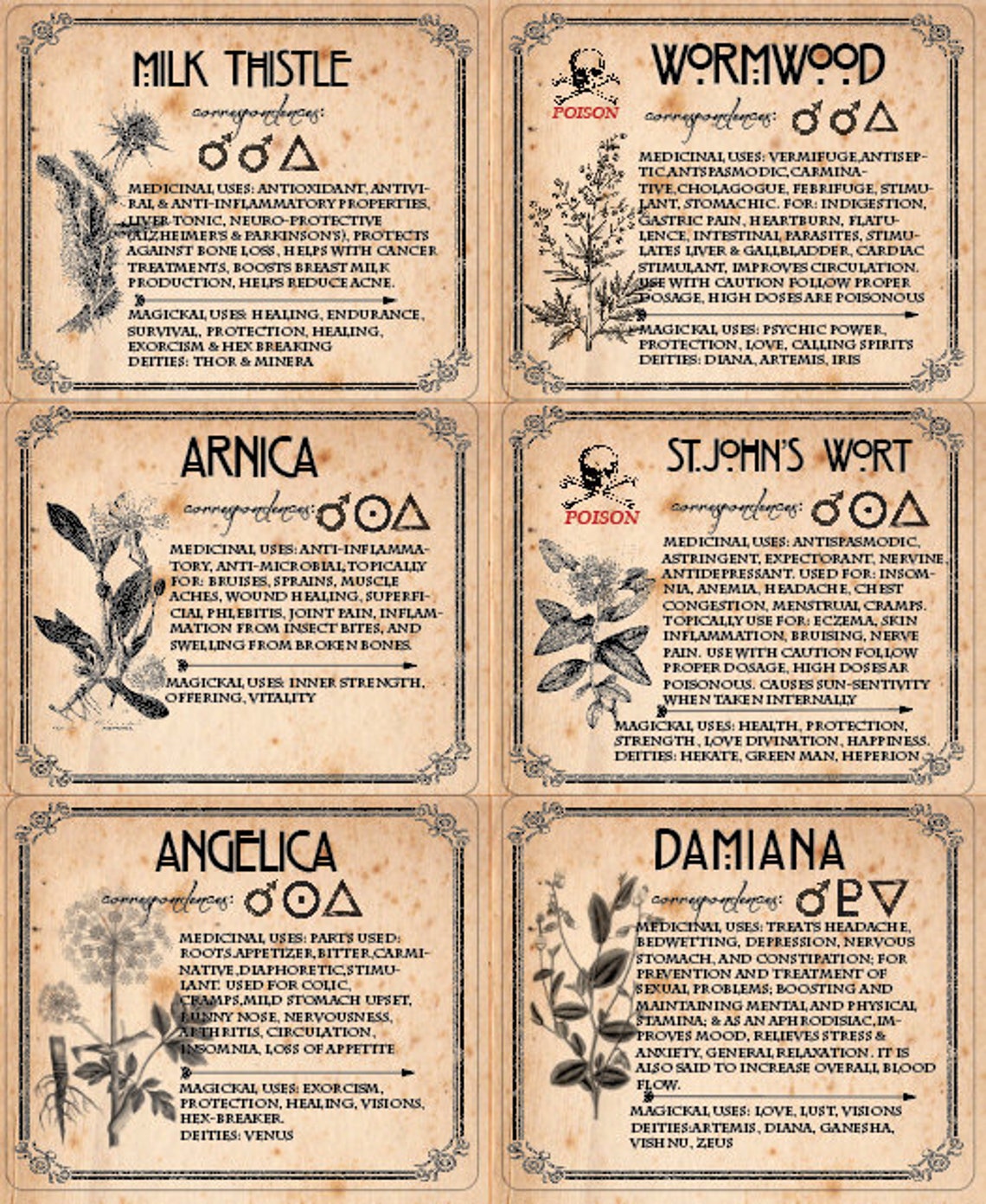 WITCH HERB LABELS Printable 6 Herbs Set 3 Wormwood Damiana Angelica - Etsy
