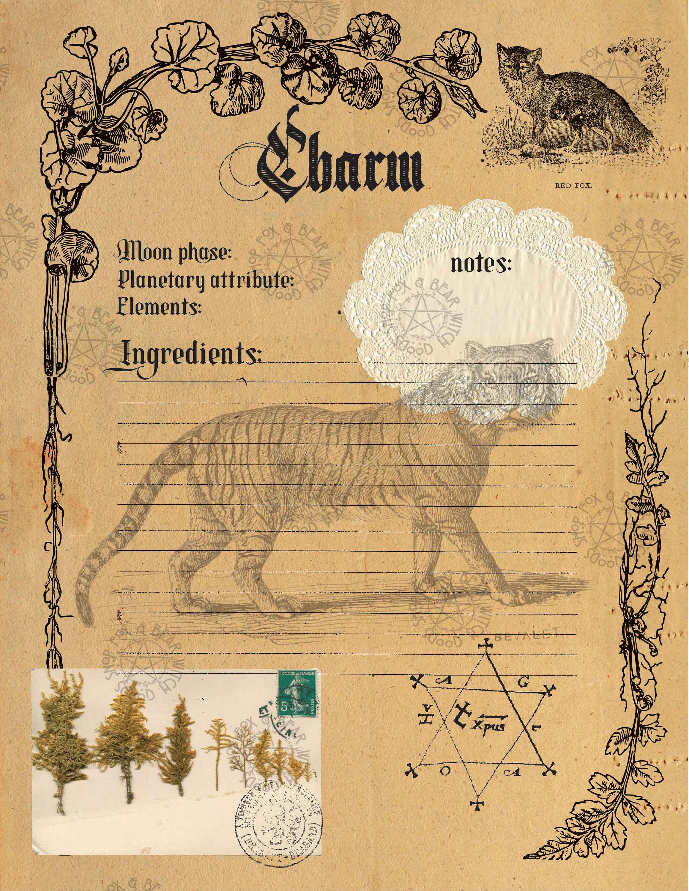 WITCH GRIMOIRE PAGES Book of Shadows Printable Set of 3 Pages Skull Owl ...