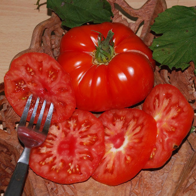 TOMATO SUPER MARMANDE 500 Seeds Large Meaty Beefsteak Type - Etsy Canada