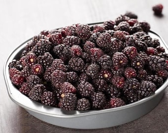 SeedsWorldShop - Etsy