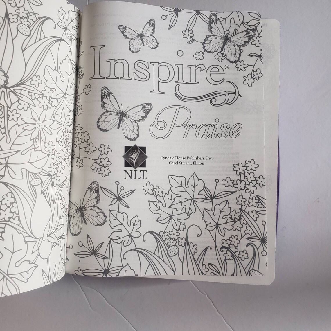 NLT Inspire Praise Journaling Bible in Purple Hardcover | Etsy