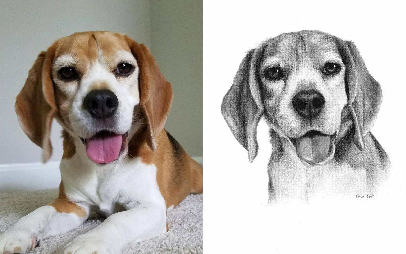 Dog Portrait Drawing Dog Drawing Custom Custom Pet Drawing | Etsy