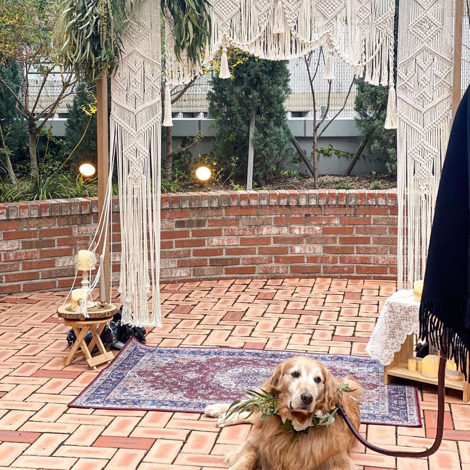 Luxurious Macrame Wedding Backdrop Macrame Wedding Arch - Etsy