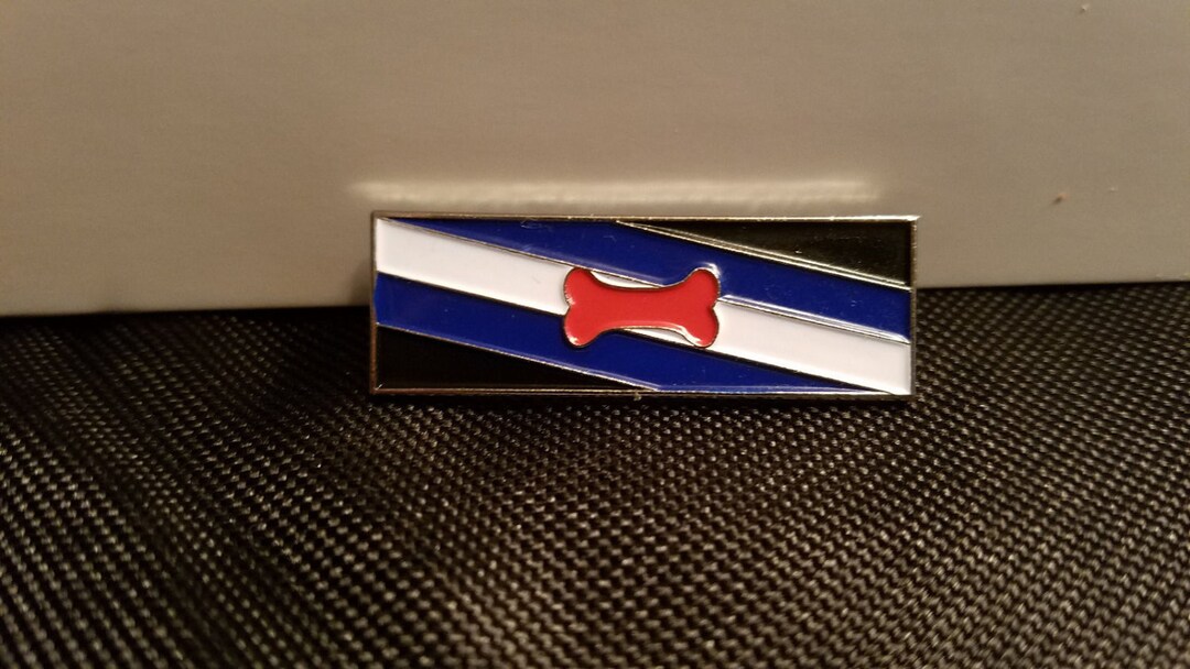 Trainer/pup Pride Pin - Etsy