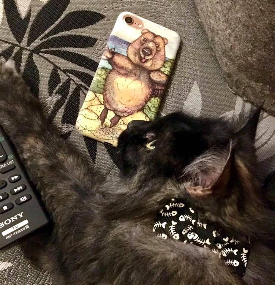 Smiling Australian Quokka Phone Case Design for iPhone Cases, Samsung ...