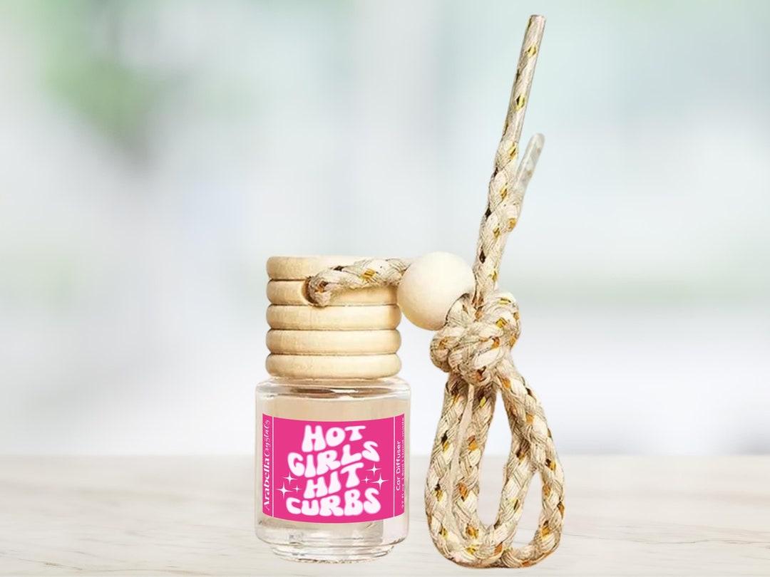 Hot Girls Hit Curbs Funny Scented Car Diffuser, Car Freshener, Cute ...