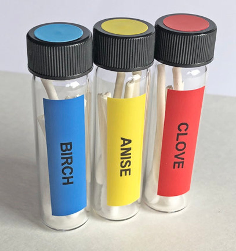 NACSW Nose Work Training Kit - Etsy