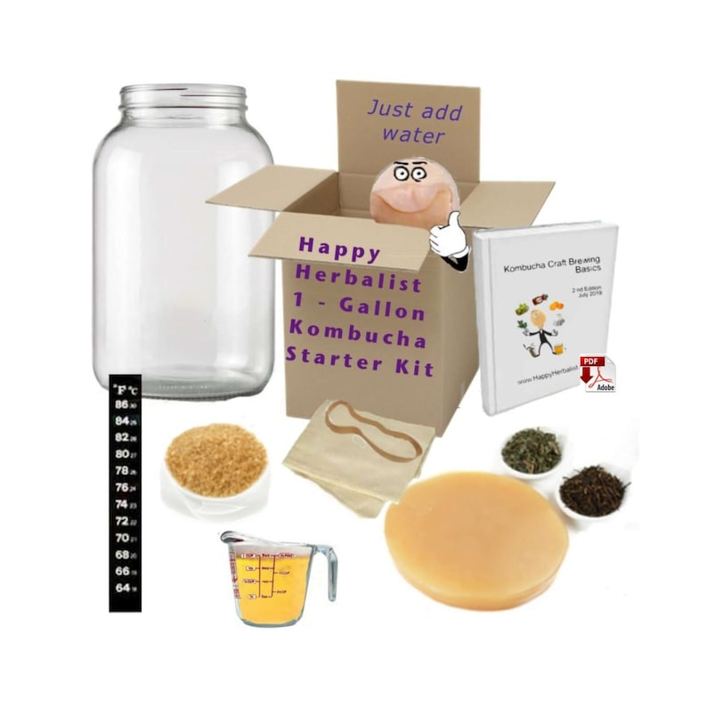 Kombucha Complete Starter Kit Includes One Gallon Jar and | Etsy