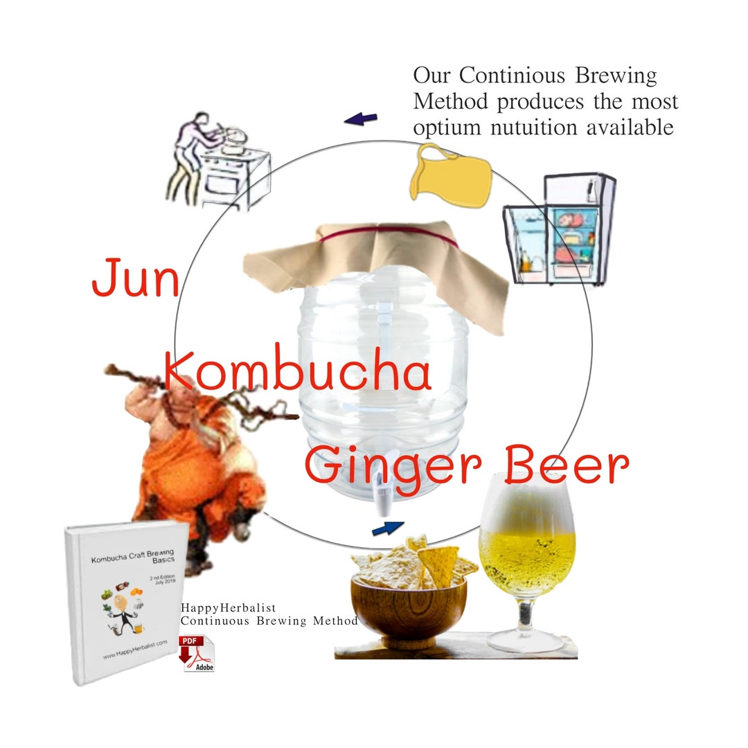 5 Gallon Starter Kit. Just Add Water: Kombucha - Jun or Ginger Beer ...