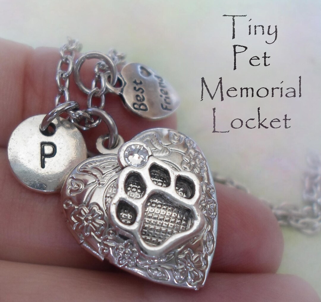 Tiny Pet Memorial Locket, Paw Charm Topped With Crystal, Personalized W ...