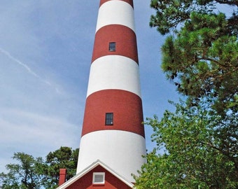 Assateague Lighthouse Fridge Magnet 3.5x5. Chincoteague, VA. Red ...
