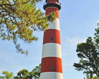 Assateague Lighthouse Fridge Magnet 3.5x5. Chincoteague, VA. Red ...