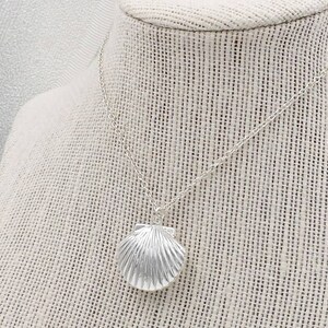 Seashell Locket in Seashell Box, Silver Sea Shell Pendant Necklace ...