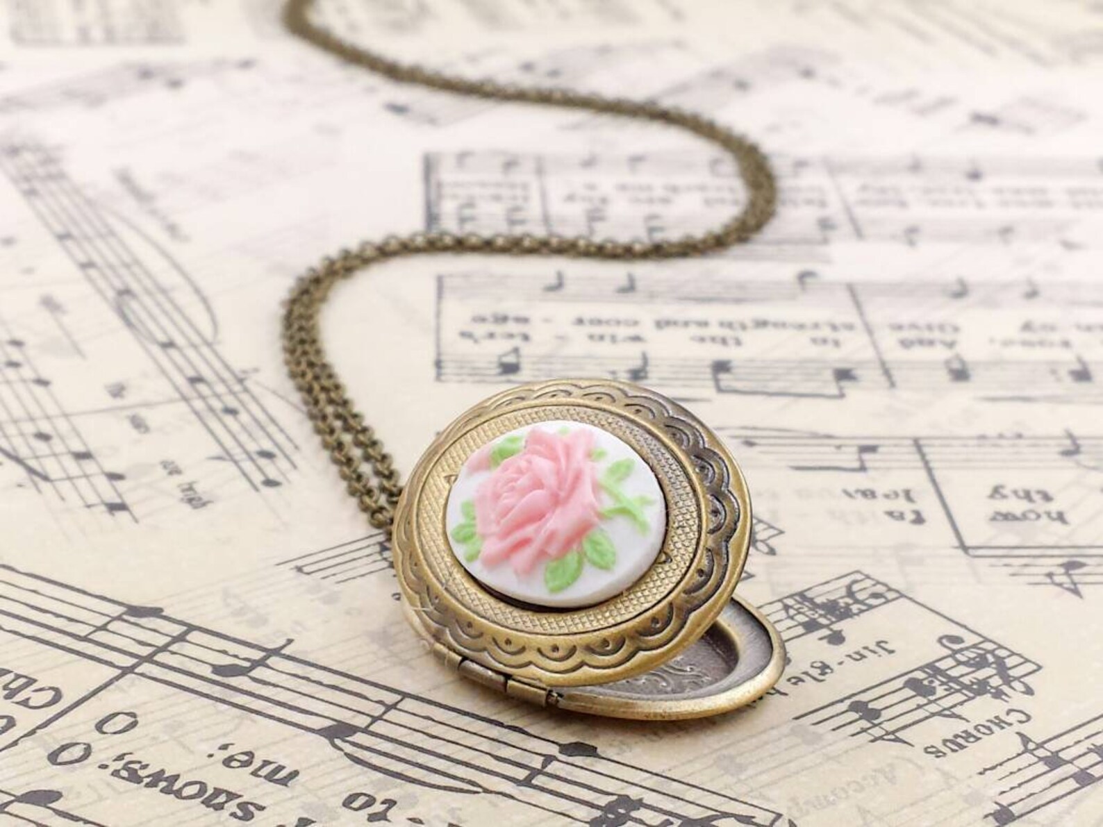 Flower Cameo Locket 2 Colors Pink Flower Cameo Necklace Blue - Etsy