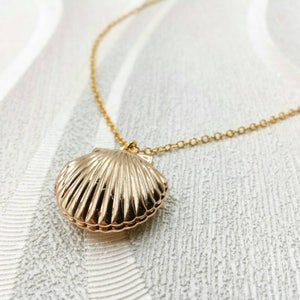 Seashell Locket in Seashell Box, Gold Sea Shell Pendant Necklace, Beach ...