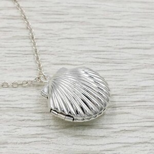 Seashell Locket in Seashell Box, Silver Sea Shell Pendant Necklace ...