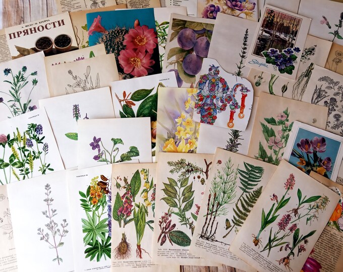 Vintage botanical paper ephemerachildrens books by OldThingsUA