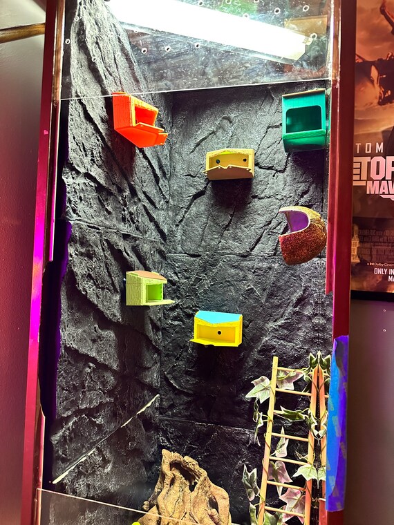 Frogio Frog Tree House Pet Housing - Etsy