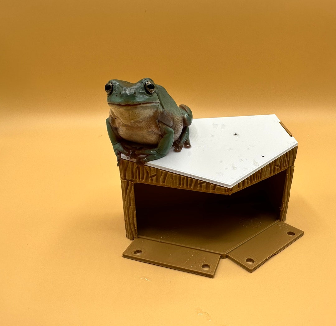 Frogio - Frog Tree House - Pet Housing - Etsy