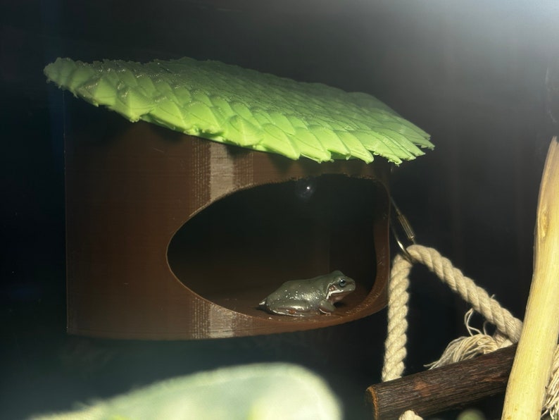 The Froggy Cabana Frog Housing - Etsy