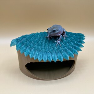 The Froggy Cabana - Frog Housing - Etsy
