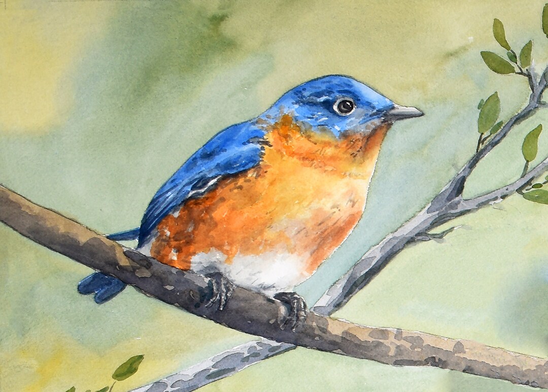Summer Bluebird Watercolor Print - Etsy
