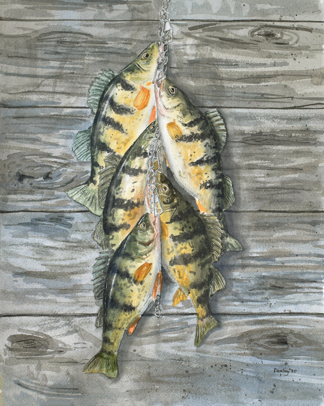 Perch Stringer Watercolor Print - Etsy