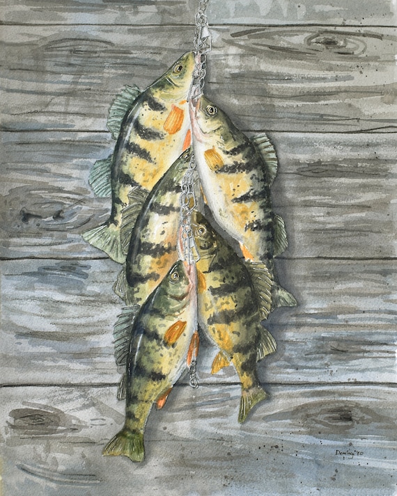 Fish Stringers