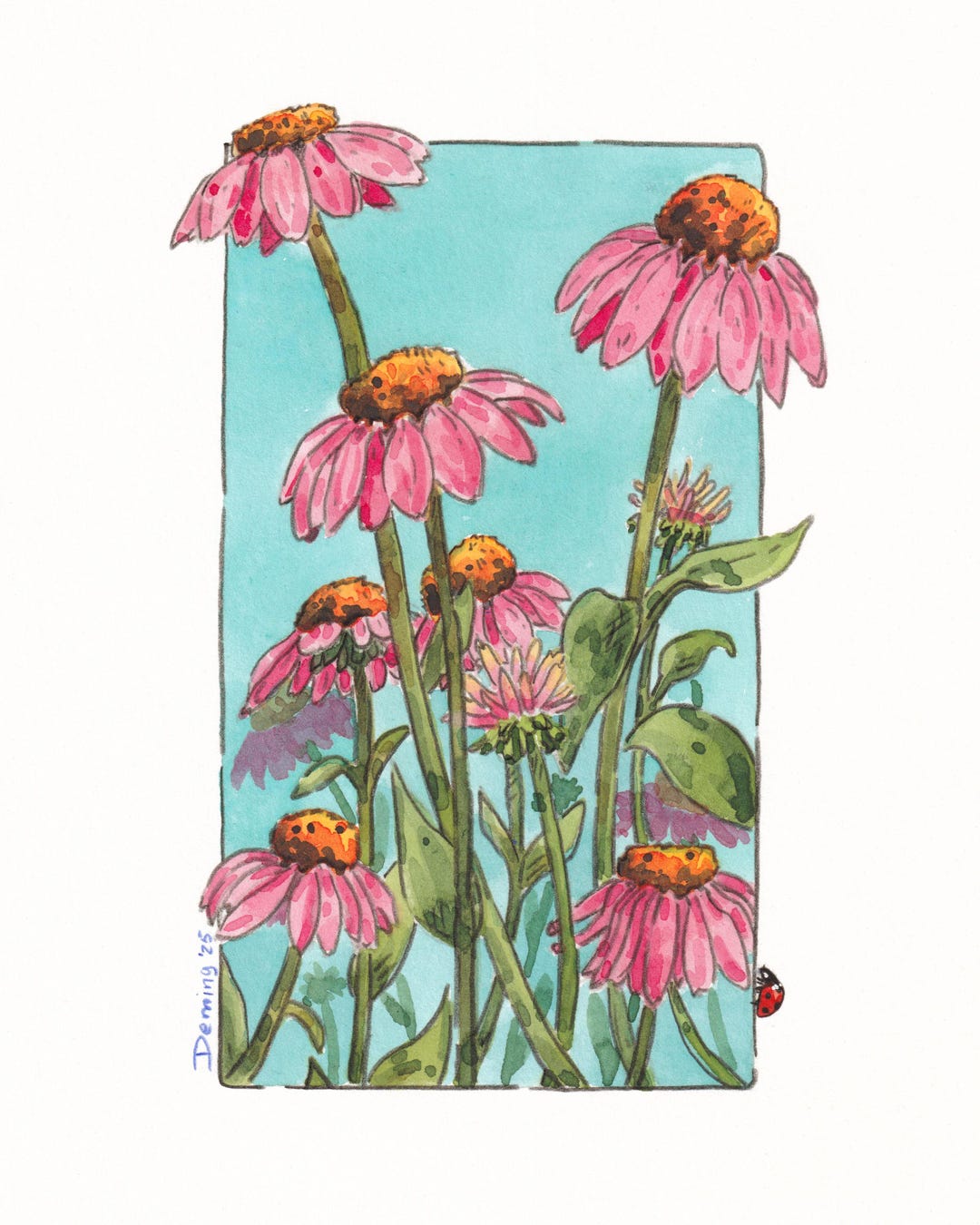 Coneflower Color Window Watercolor Print - Etsy