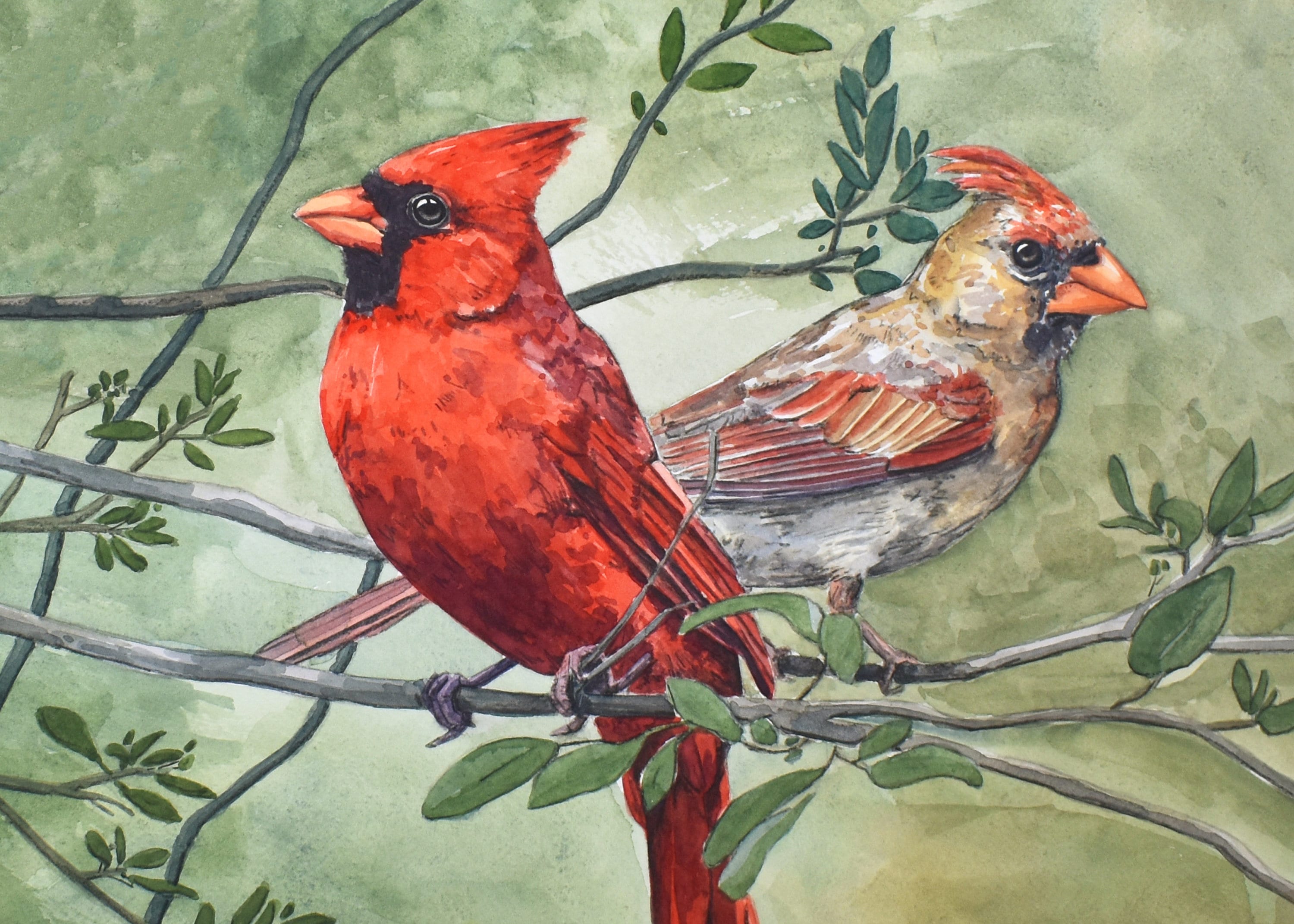 Summer Cardinal Pair Watercolor Print | Etsy