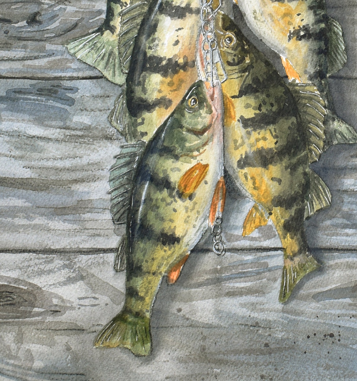 Perch Stringer Watercolor Print - Etsy