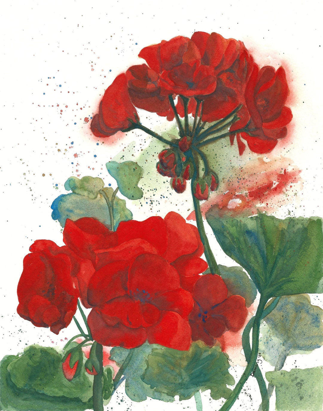 Geraniums Watercolor Print - Etsy