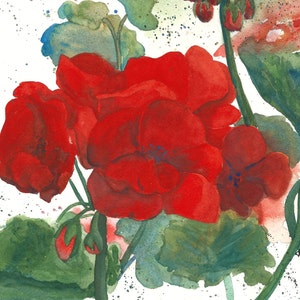 Geraniums Watercolor Print - Etsy